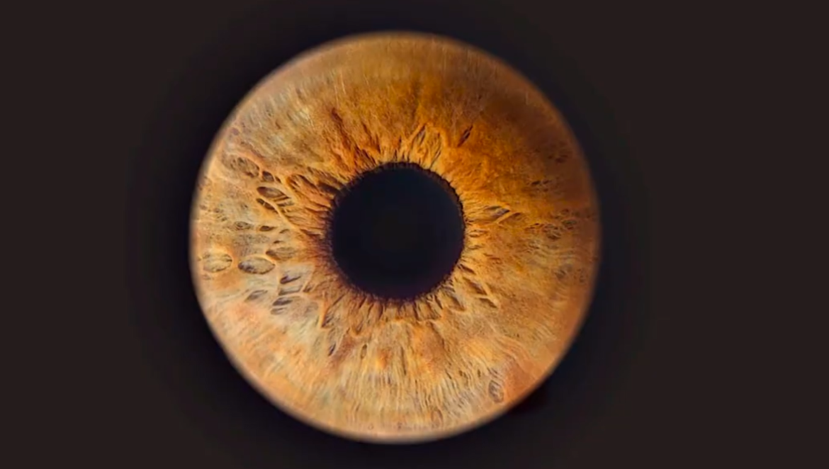 Javier Bardem's Iris NFT Photograph to Go Up for Auction - Cryptoflies News